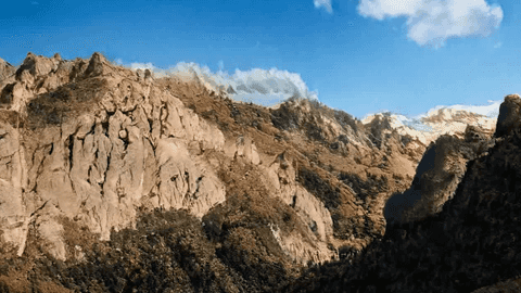 WZRD - AI Music Visualizer